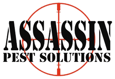 Complete Pest Control Reno, NV | Assassin Pest Solutions