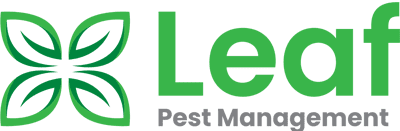 Pest Control In Thousand Oaks, CA & Beyond | Leaf Pest Management
