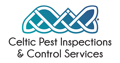 Pest Control in Reno, NV | Protect Your Home or Business | Celtic Pest ...