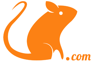 Bat & Rodent Control In NC, KS, & MO | Orange Mouse